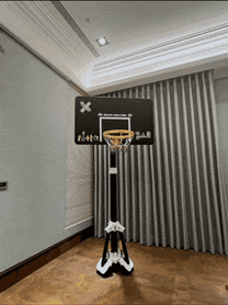 Home Basketball System (mini hoop) – BRAVE SUN